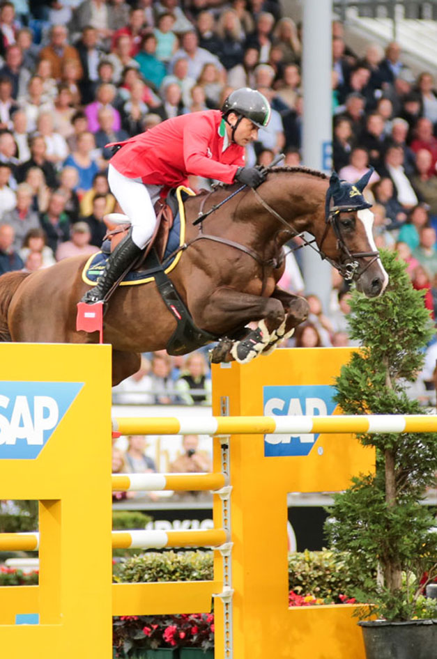 Casallo Z - Haras de Clarbec