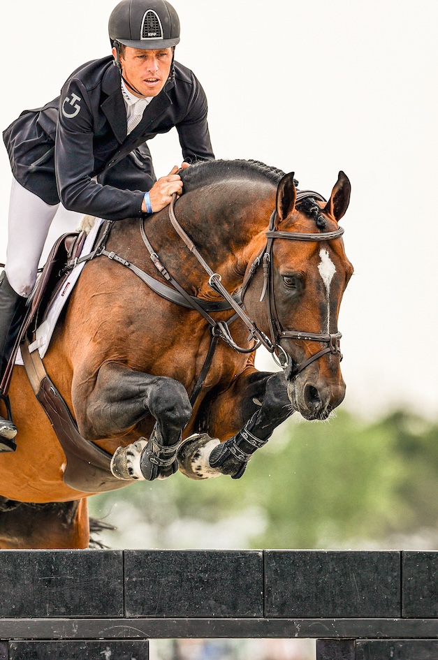 Hello Vincent - Haras de Clarbec